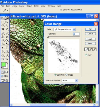 Index Color Separations for Screen Printing